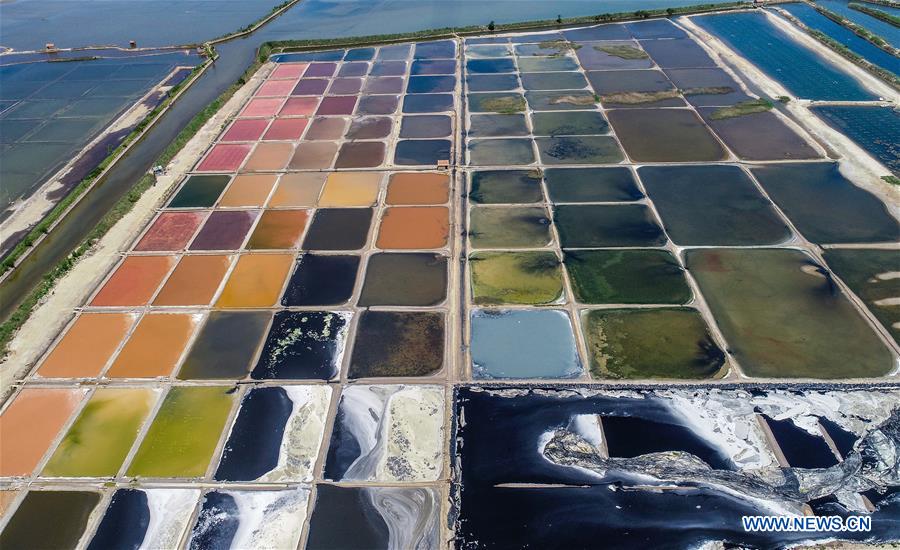 Chine: champs de sel au Shandong_French.news.cn